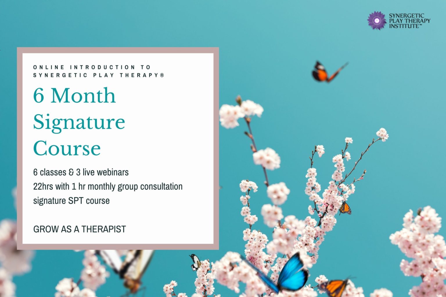 Online Introduction to Synergetic Play Therapy® - Synergetic Education ...