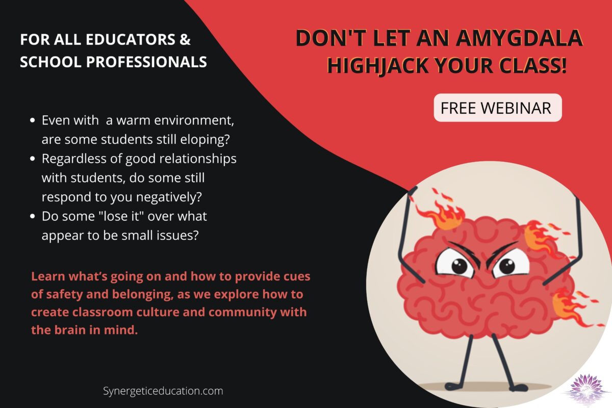 FREE Webinar: Don't Let an Amygdala Hijack Your Class! - Synergetic ...